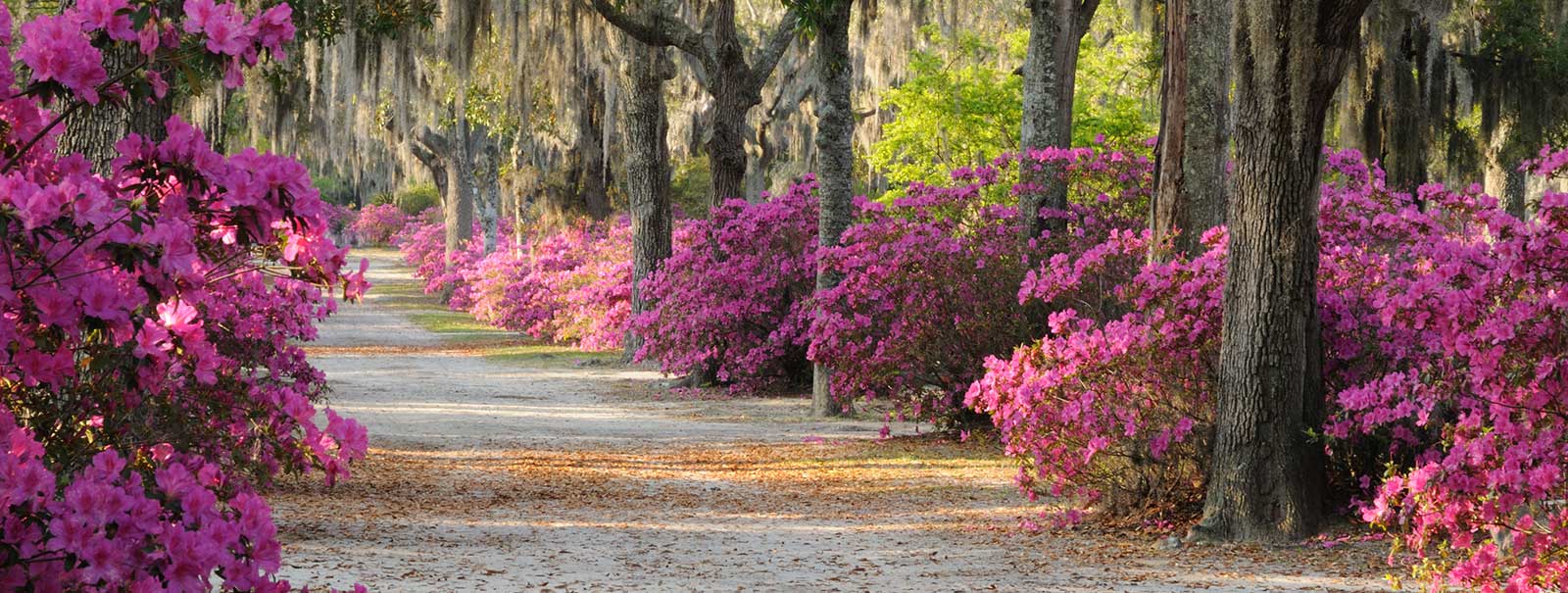 About Wesley Woods: Our Story - Wesley Woods Senior Living