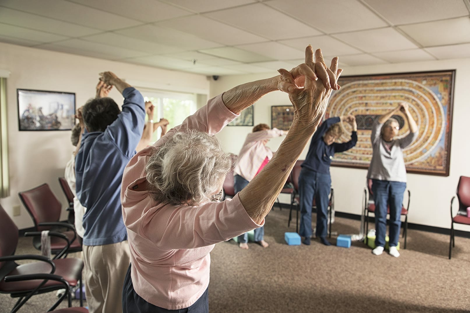 Wellness - Wesley Woods